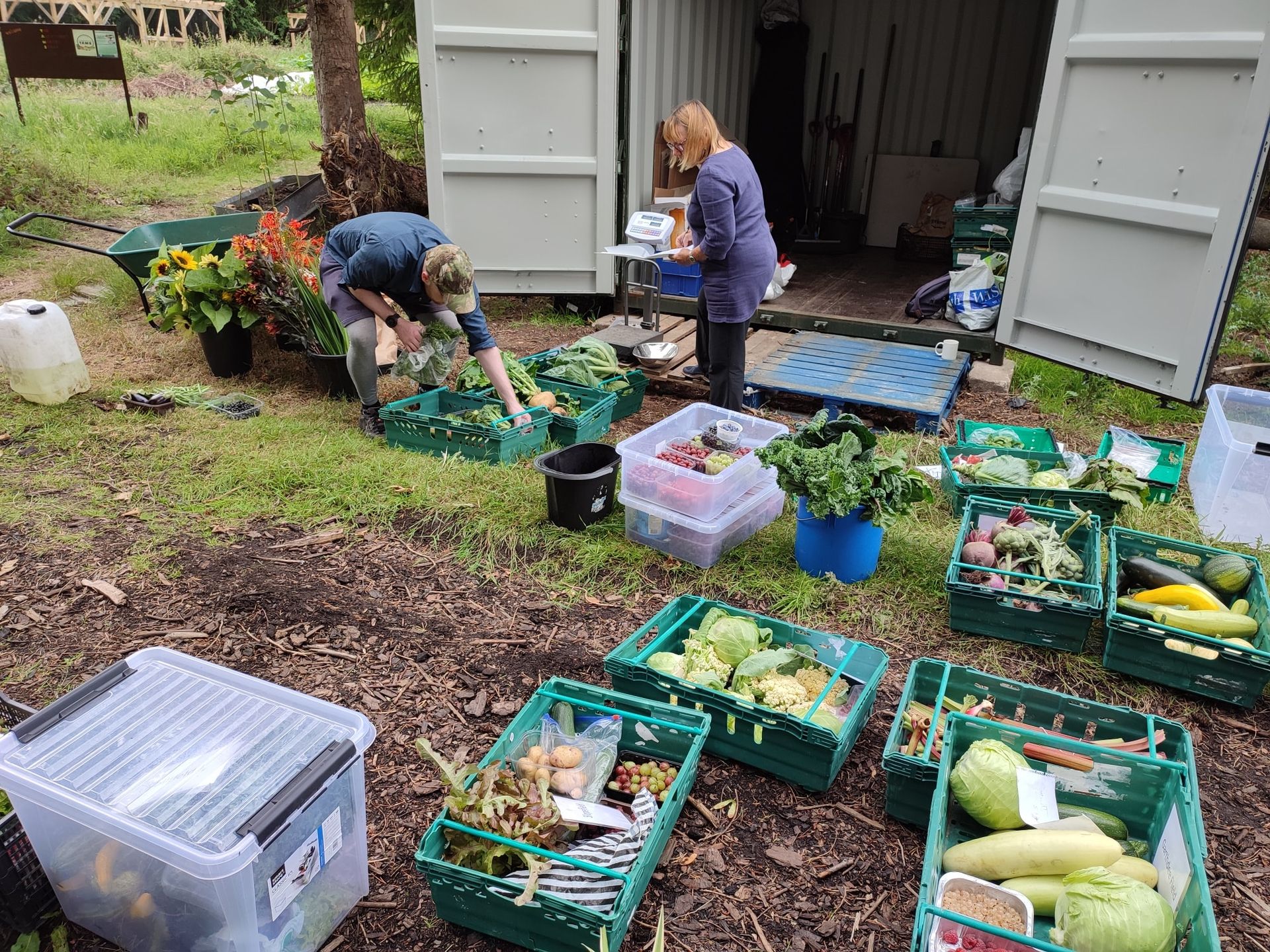 TAMS | Local Surplus Produce & Community Food Project in Aberdeen